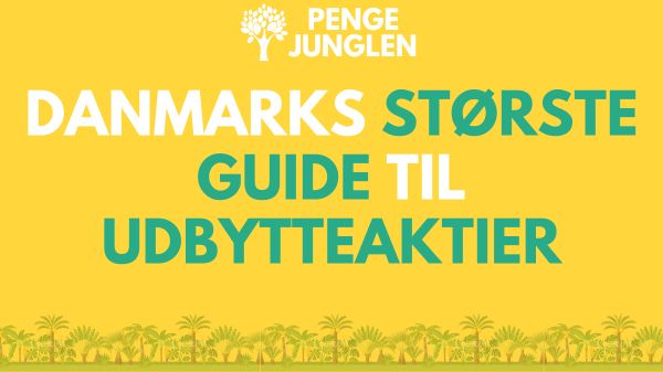 Danmarks største guide til udbytteaktier [2025] | Pengejunglen